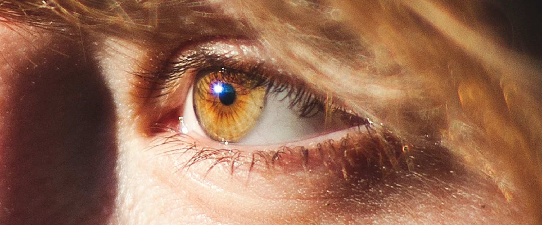 How rare is the amber eye colour? | Glasses Direct Blog